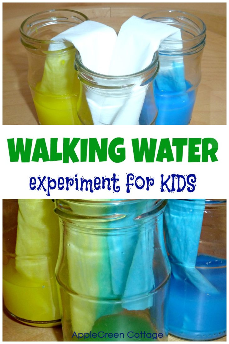 Walking Water Experiment - Color Changing Experiment For Kids