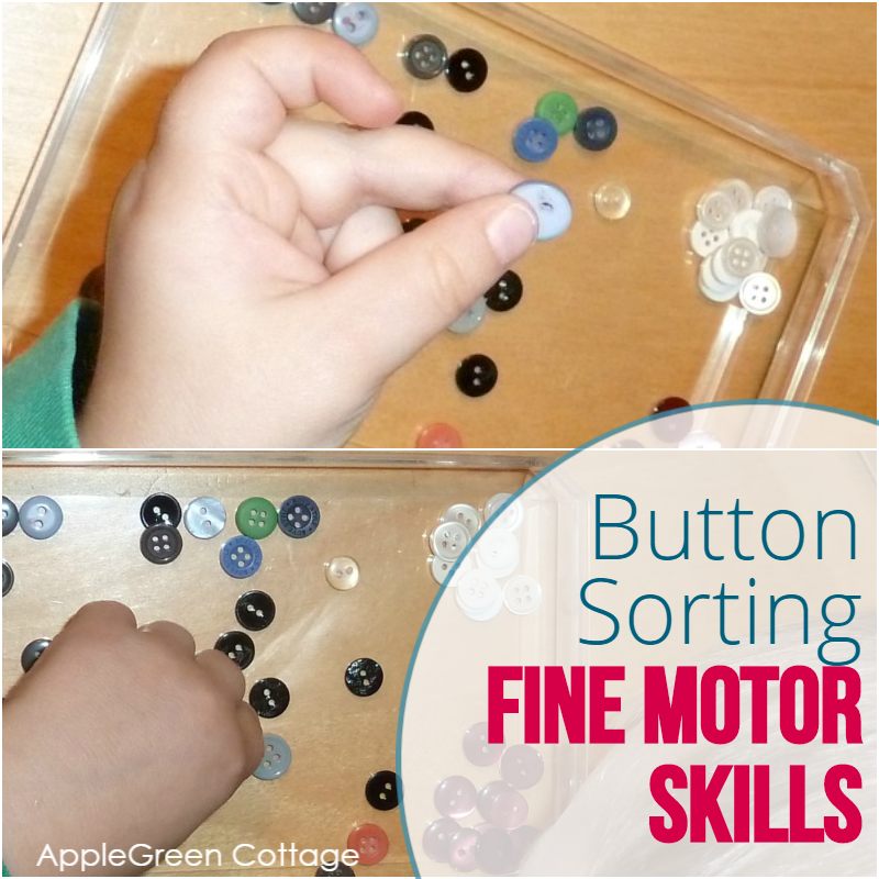 Button Sorting Activity For Toddlers - AppleGreen Cottage