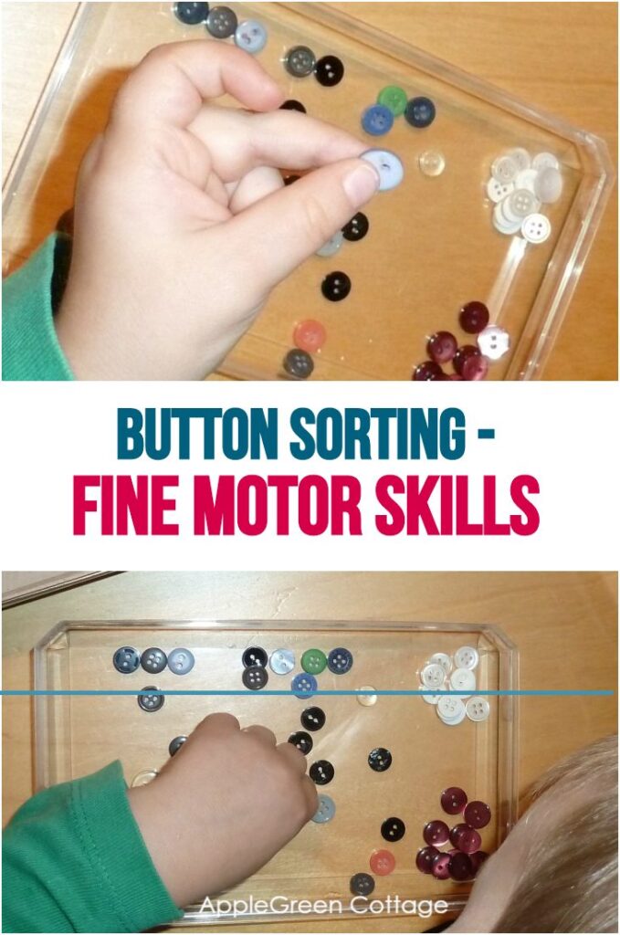 Button Sorting Activity For Toddlers - AppleGreen Cottage