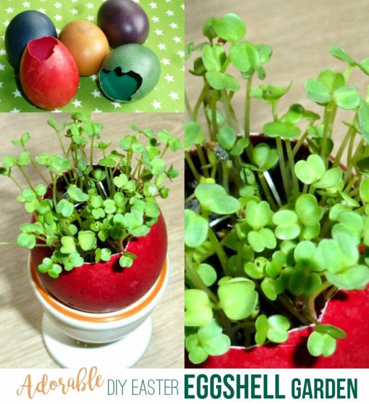 Eggshell Crafts - This Easter Eggshell Garden! - AppleGreen Cottage