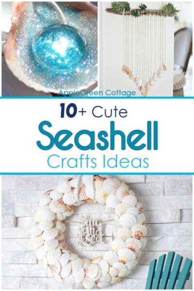 10+ Cutest Seashell Crafts Ideas You Simply Must Try This Summer ...