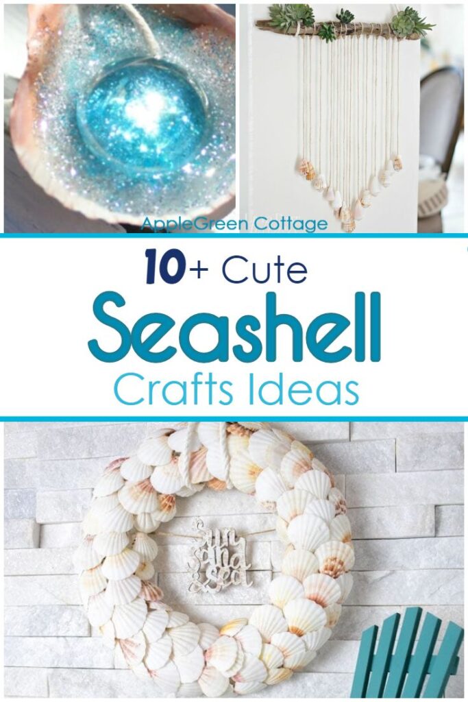 10+ Cutest Seashell Crafts Ideas You Simply Must Try This Summer ...